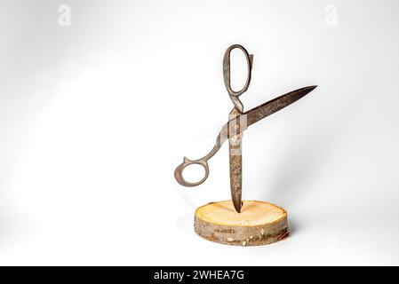 Vintage rusty steel scissors Stock Photo - Alamy