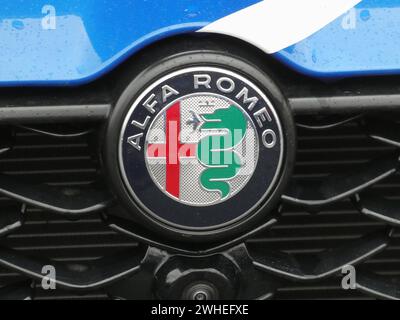 Logo, Schriftzug des italienischen Automobilhersteller FIAT, eine Marke ...