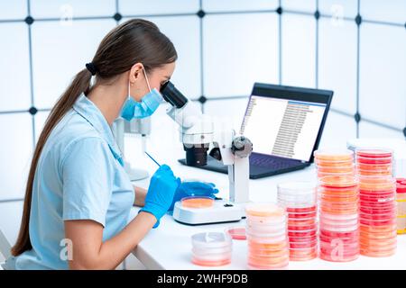 Scientist examining well plate with microscope Stock Photo - Alamy