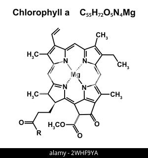 Chlorophyll b chemical structure, illustration Stock Photo - Alamy