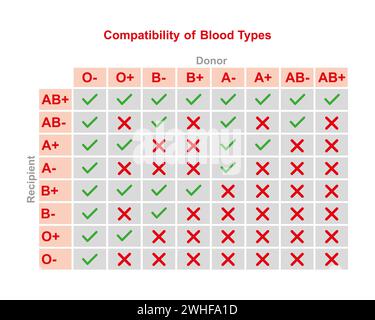ABO blood type compatibility, illustration Stock Photo - Alamy