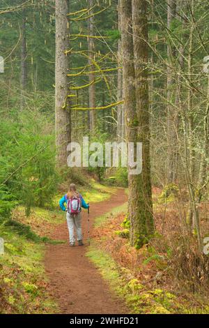 Woods Tour, Magness Memorial Tree Farm, Oregon Stock Photo - Alamy