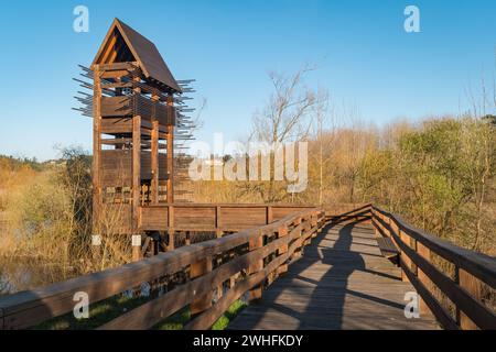 Birdwatching Tower. Bird watching observation tower in the forest ...