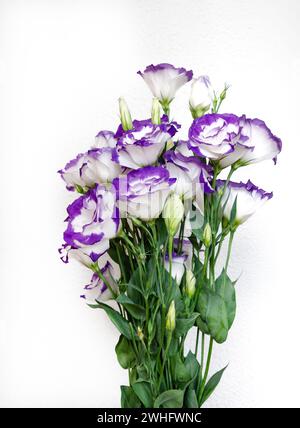Beautiful pink eustoma flowers on white background Stock Photo - Alamy