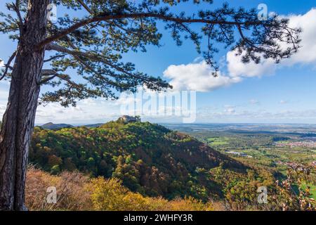 Hohenneuffen Castle, forest, trees Neuffen Schwäbische Alb, Swabian Alb ...