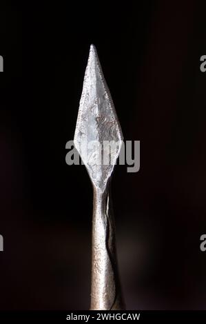 Jorvik Viking Festival 2007, York, England Stock Photo - Alamy