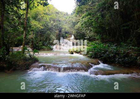The YS Waterfalls in Jamaica, Caribbean, America Stock Photo - Alamy
