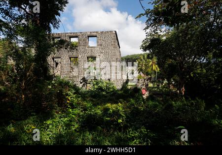 The historical ruins of Balaclava, Mauritius, Indian Ocean, Africa ...