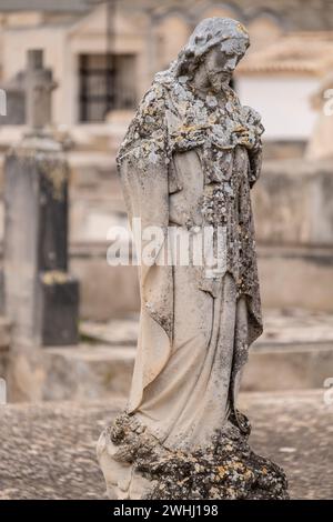 Jesus christ thinking Stock Photo - Alamy