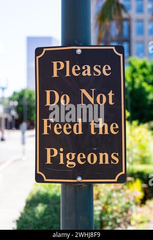 Please Do Not Feed The Pigeons sign Stock Photo - Alamy