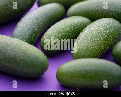 Fresh purple avocado fruits Stock Photo - Alamy