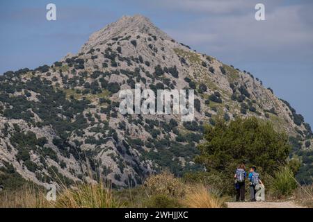 Dry stone path GR221 Stock Photo - Alamy
