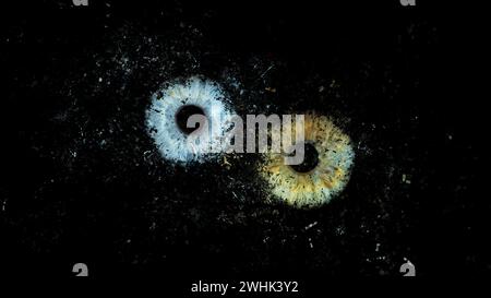 Description: Galaxy explosion effect of human eyes colliding on black ...