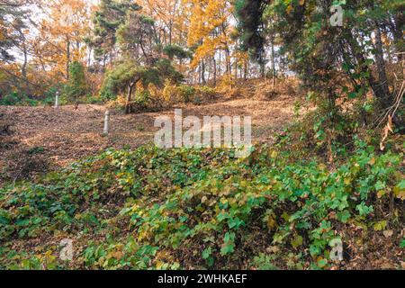 Burial mound covered with grass in rolling hill culture landscape ...