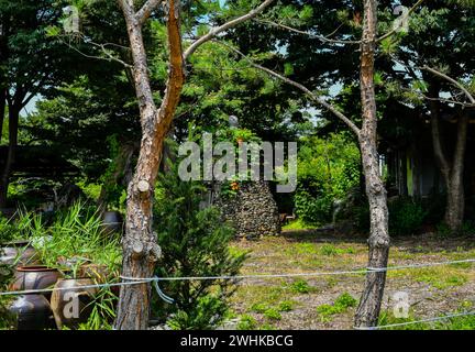 Small stone cone shaped structure with wooden door in beautiful garden ...