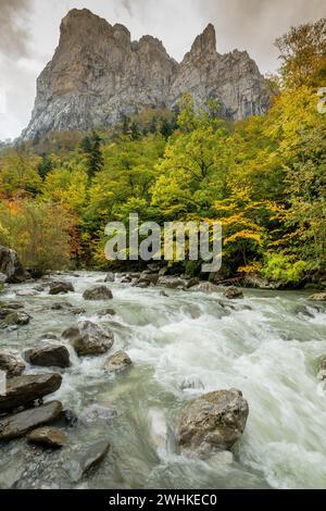 Green corridor of the river Veral Stock Photo - Alamy