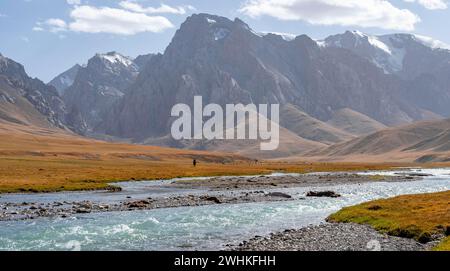 Mountain landscape with yellow meadows and river Kol Suu, mountain peak ...