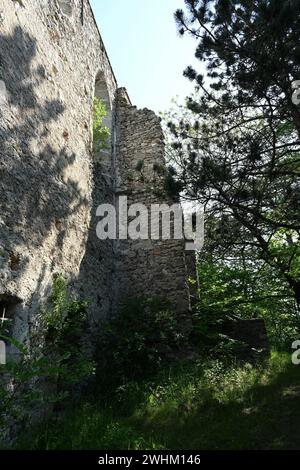 Church ruin Pankrazi near Alland, Austria Stock Photo - Alamy