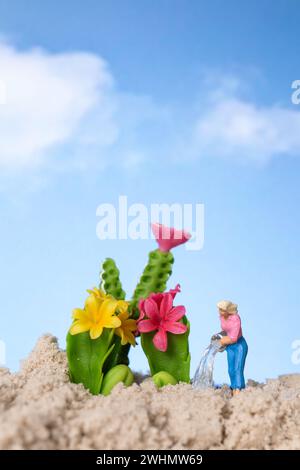 Miniature people gardener working on cactus plants Stock Photo - Alamy