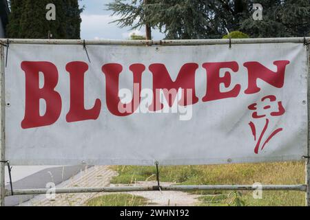 a flower or floral symbol for decorative purposes and beautification a ...