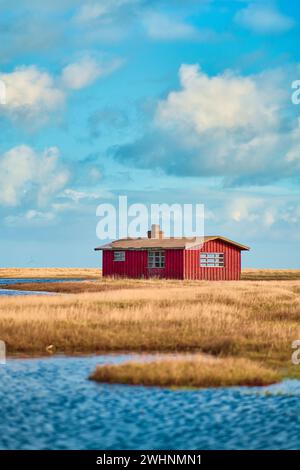 Red hut at the sea in Denmark Stock Photo - Alamy