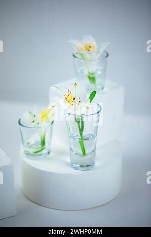 Showcase pedestal with floral decor on color background Stock Photo - Alamy