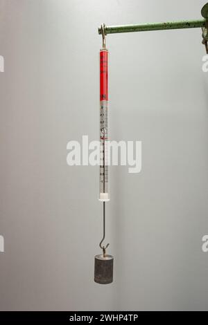 A Newton meter measuring the force of gravity on an apple suspended ...