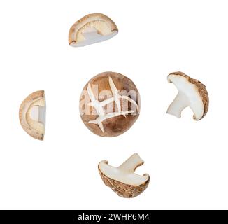 Front view set of shiitake mushroom half is isolated on white ...