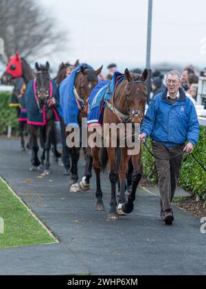 Just go for it, ridden by James Best and trained by Mitchell Hunt ...