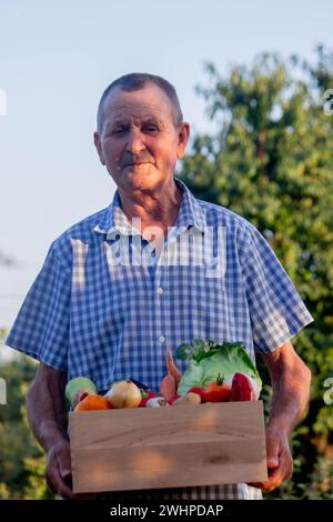 A person holds a ripe red tomato in their hand. The setting is a garden ...