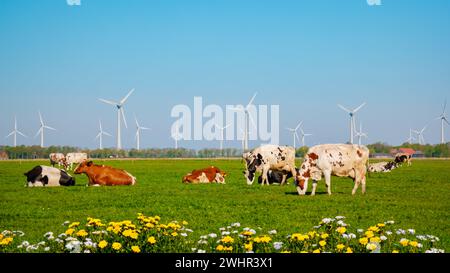 Windmill in a rural area during sunset with flowers in the foreground ...