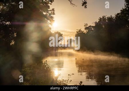 Mystical Sunset Mist Over Canal: Golden Rays Illuminating Tranquility ...