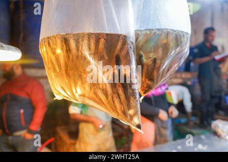 February 9, 2024, Inside Dhaka Metro City, N/A, Bangladesh: In the 18th ...