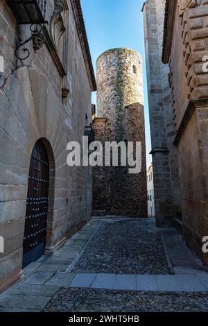 Medieval wooden fortress with towers. Landscape with a view of ...