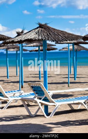 Lines of Parasols at Spanish Sand Beach. Vertical shot Stock Photo - Alamy