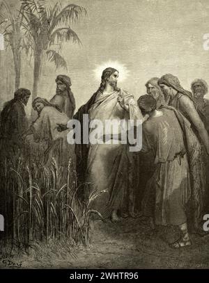 Disciples plucking corn on the Sabbath. Jesus went on the sabbath day ...