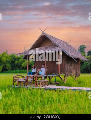 small homestay at the farm with a green rice paddy field in Central ...