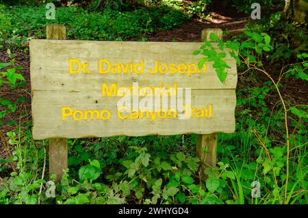 Pomo Canyon, Northern California, Coastal landscapes, Hiking trails ...