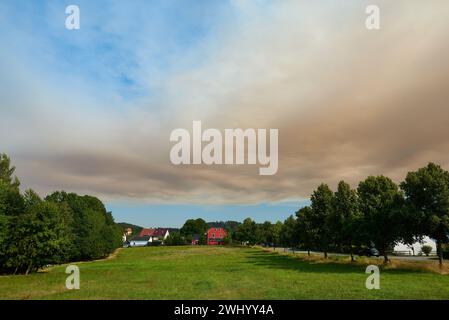 Effects of the forest fire in Saxon Switzerland in summer 2022 Stock ...