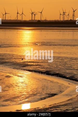 Mudflat landscape and many wind turbines in the marshland, North Sea ...