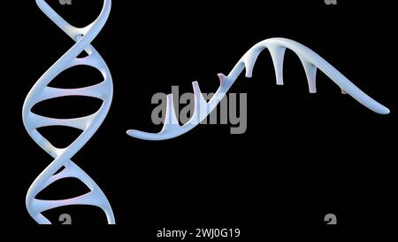 3d rendering of DNA editing technique called CRISPR, to replace ...