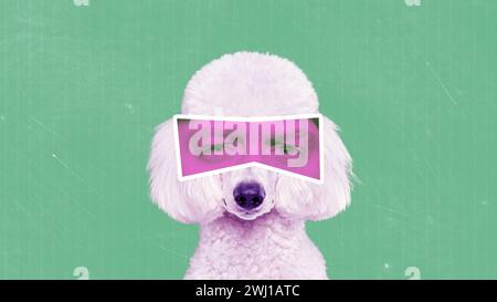 Contemporary art collage. White poodle with human eyes in pink neon ...