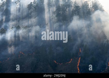 A wildfire burning a steep hillside in Nepal in the dry season with ...