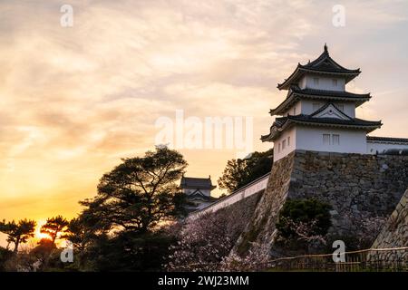 Sunset through some trees with the two turrets of the Japanese castle ...