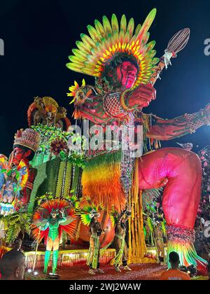 Performers from the Salgueiro samba school parade during Carnival ...