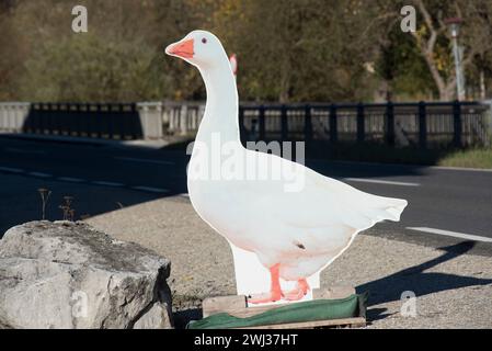 Duck bird living mostly in the water Stock Photo - Alamy