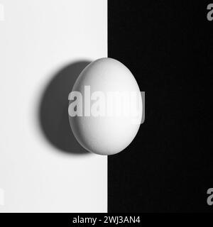 Black and white split screen with egg and shadow with copy space Stock ...