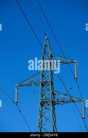 Flock of birds on high voltage pylon in blue sky Stock Photo - Alamy