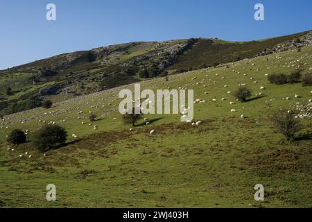 GR 20 trail - Circular route to Aralar, Aralar natural park, Guipuzcoa ...