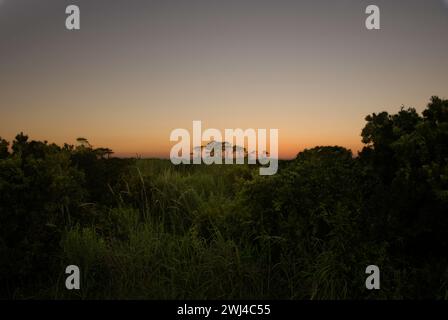 wetlands on the Outer Banks of North Carolina USA Stock Photo - Alamy